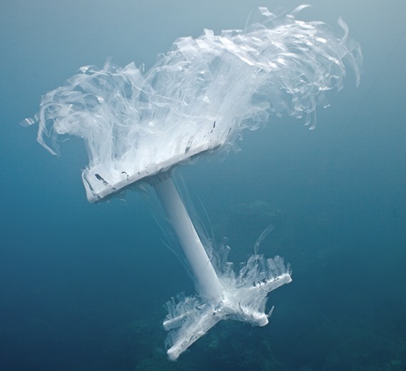 Submerged Art - Orta Format